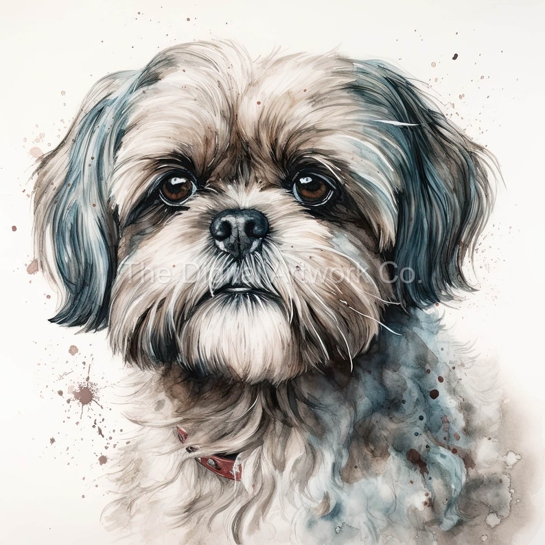 12 High Quality Designs of Shih Tzu Dog Breed Clip Art 12 Jpgs - Etsy