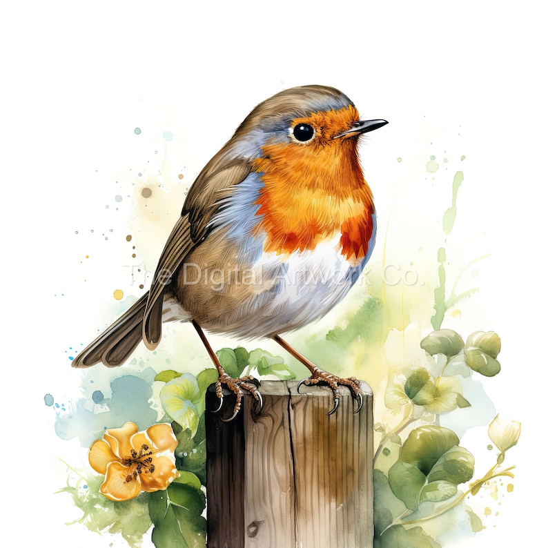 Watercolor Robin Art – Printable Bird Clipart, Commercial Use (digital ...