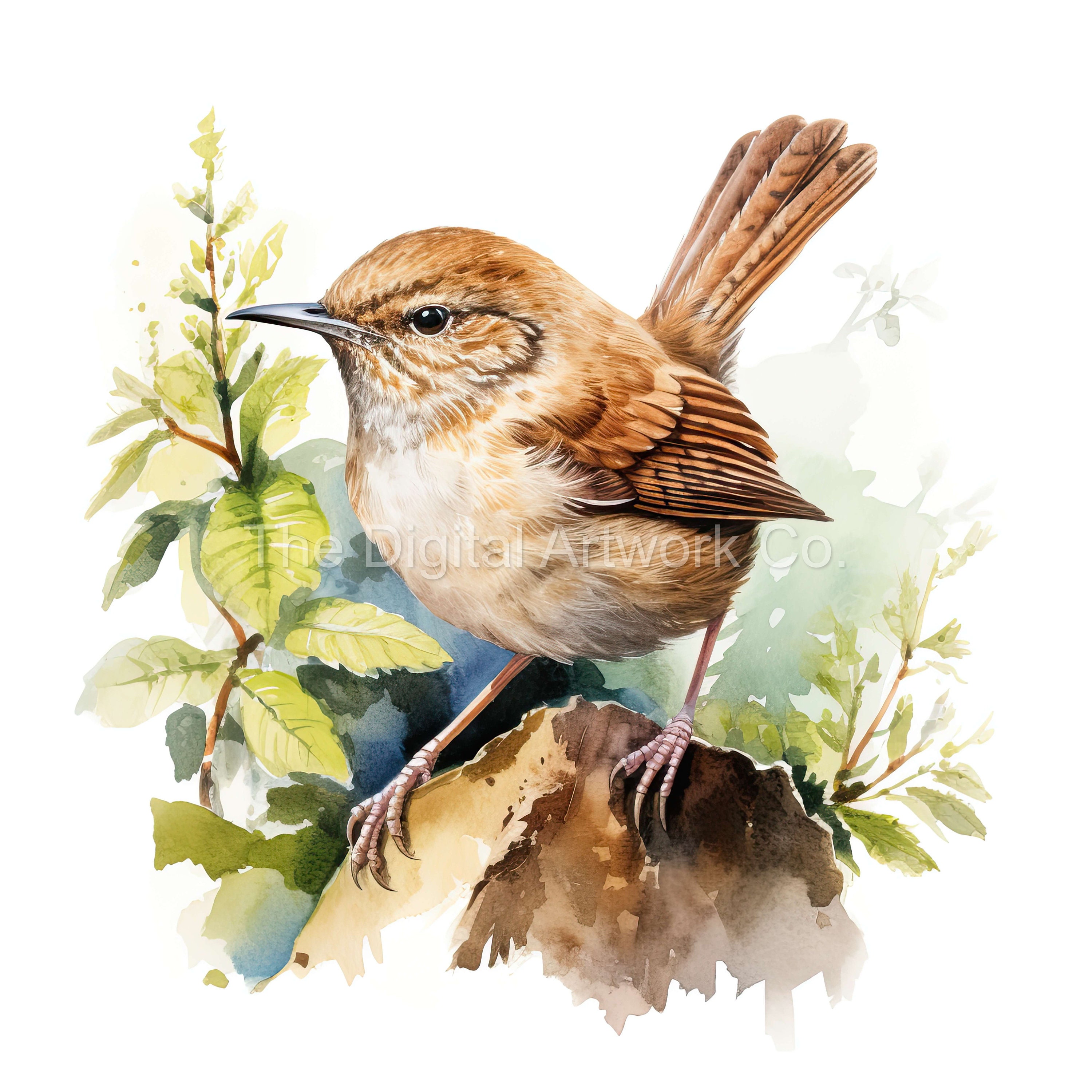 Watercolor Wren Art Prints: Garden Bird Illustration (digital Download ...
