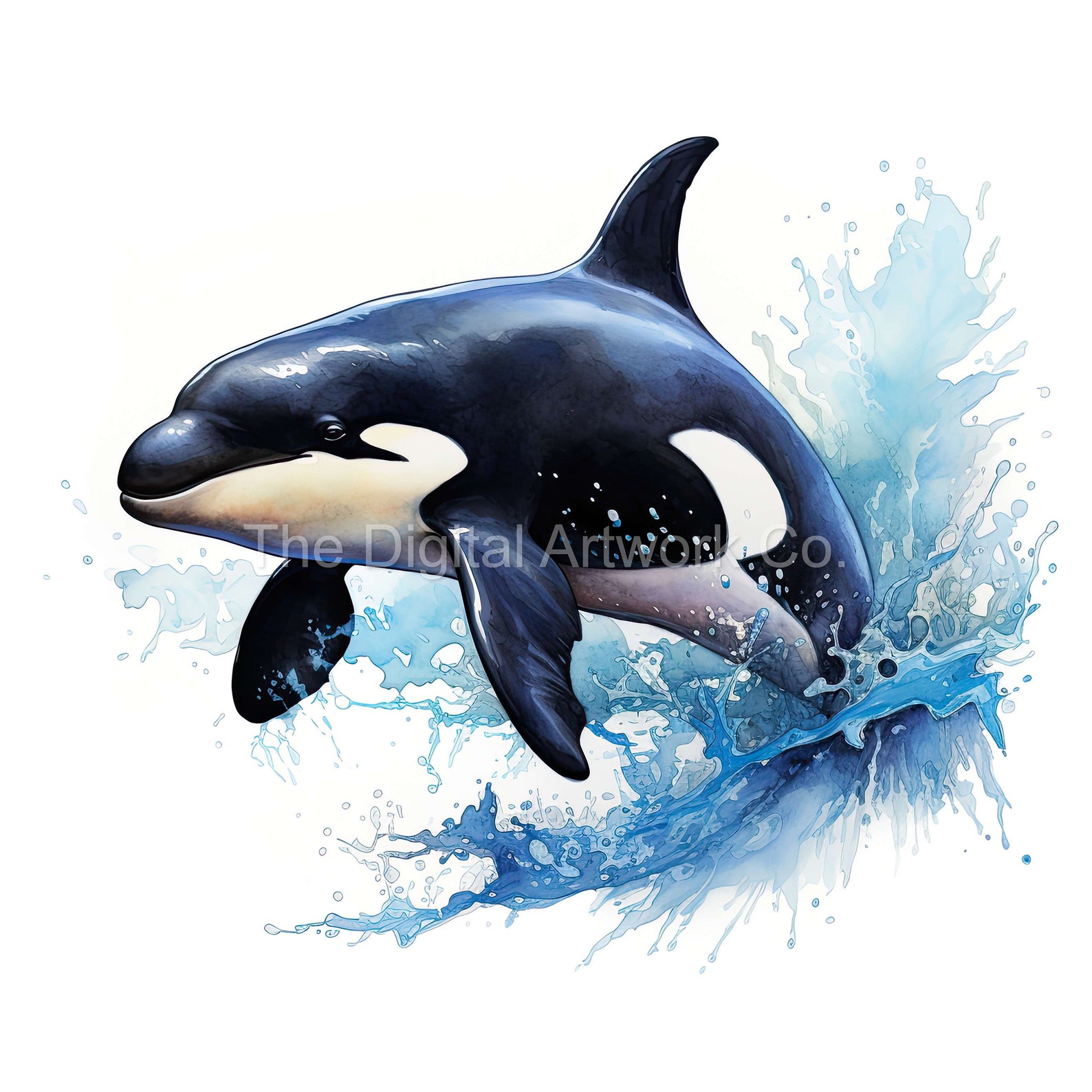 Watercolor Orca Clipart – High Quality Whale Designs (digital Download ...