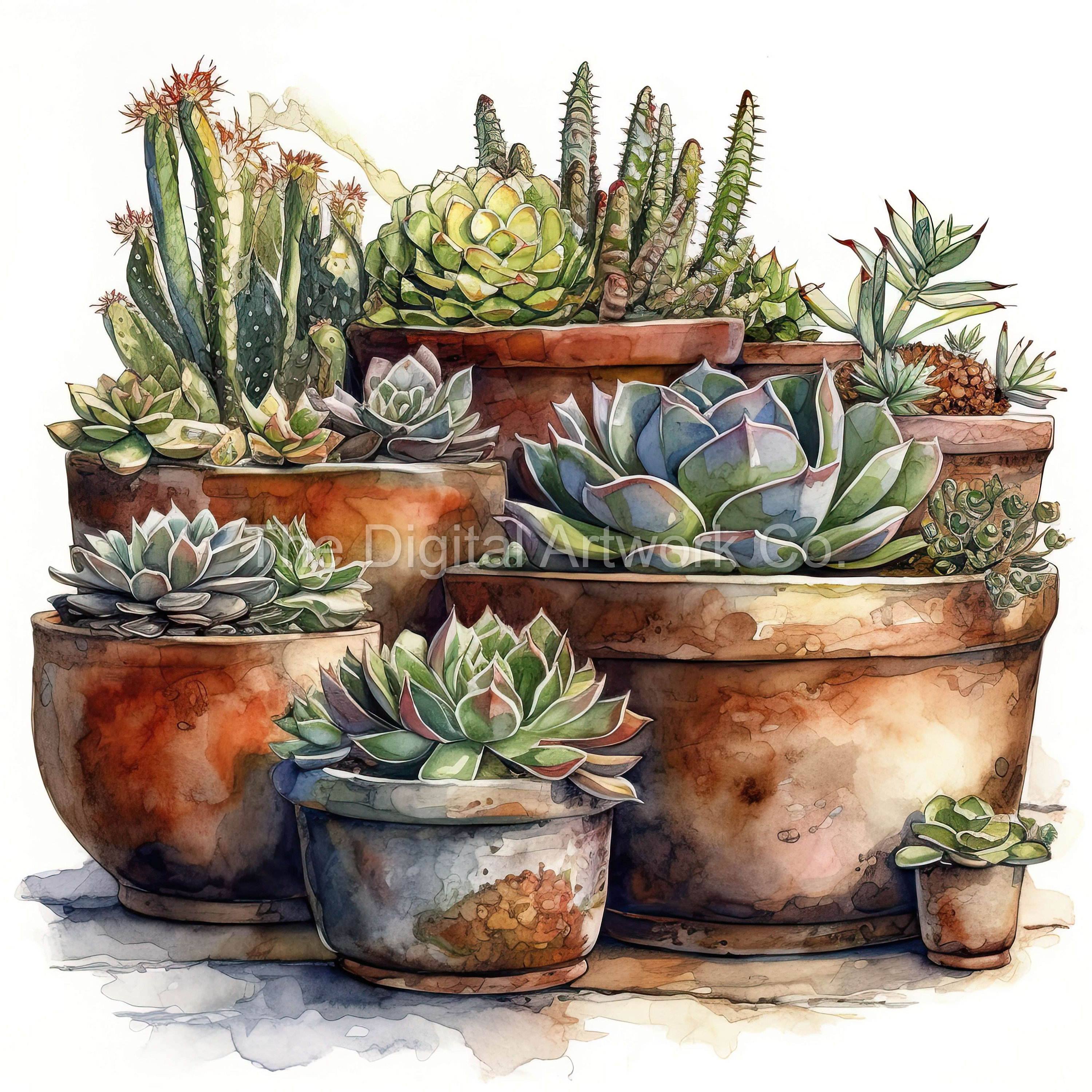 Watercolor Cacti Succulents Clip Art – Botanical Potted Plants (digital ...