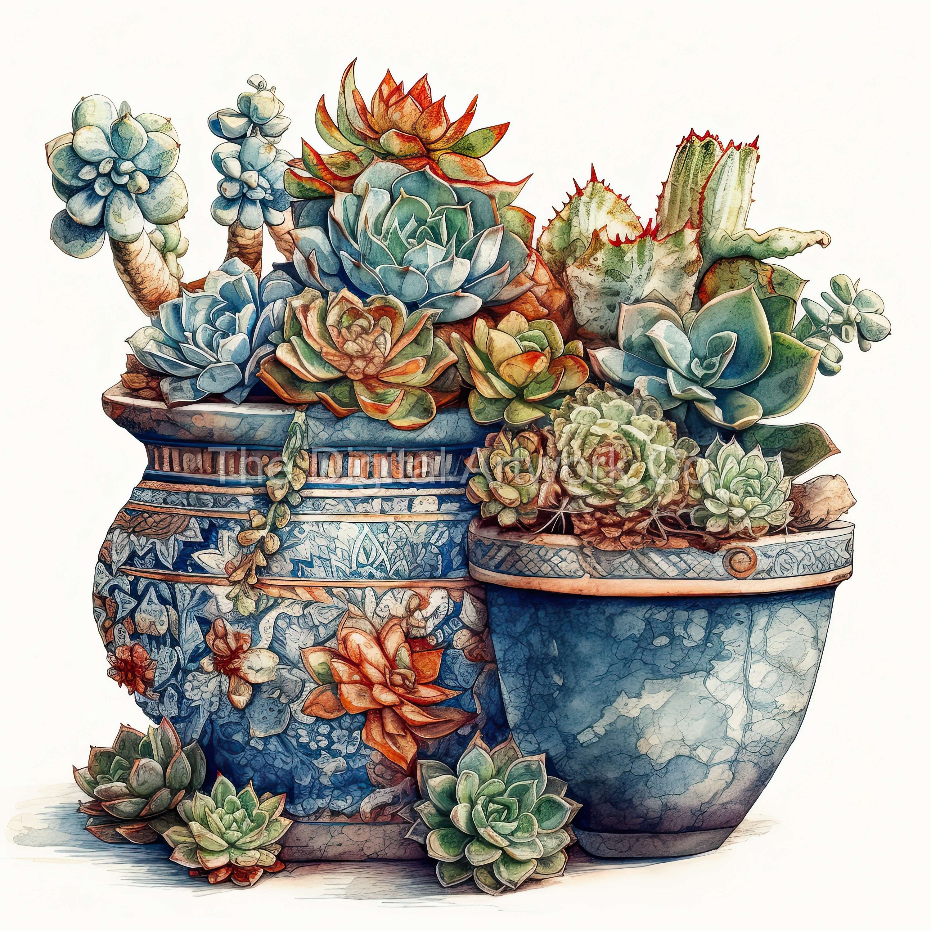 Watercolor Cacti Succulents Clip Art – Botanical Potted Plants (digital ...