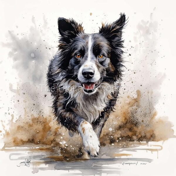 Collie Dog Art - Etsy