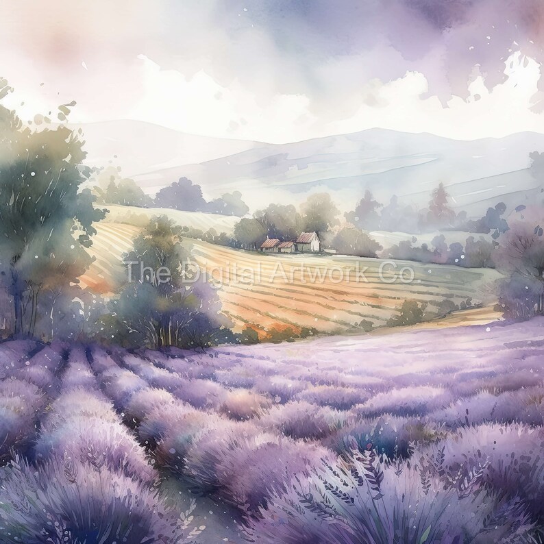 12 Lavender Meadows Backgrounds High Quality Jpgs Digital - Etsy UK