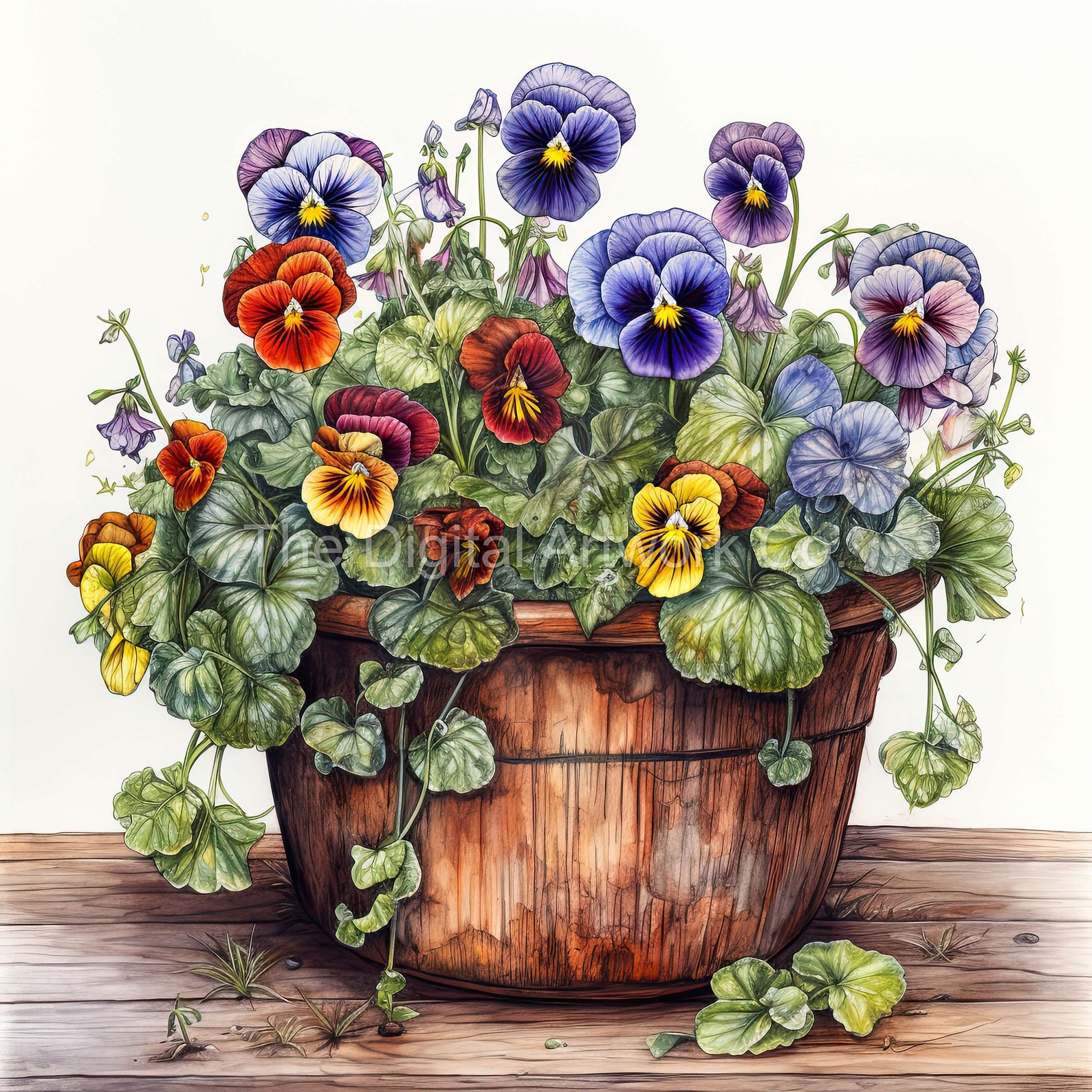 12 High Quality Designs of Gorgeous Pot Pansies 12 Jpgs - Etsy