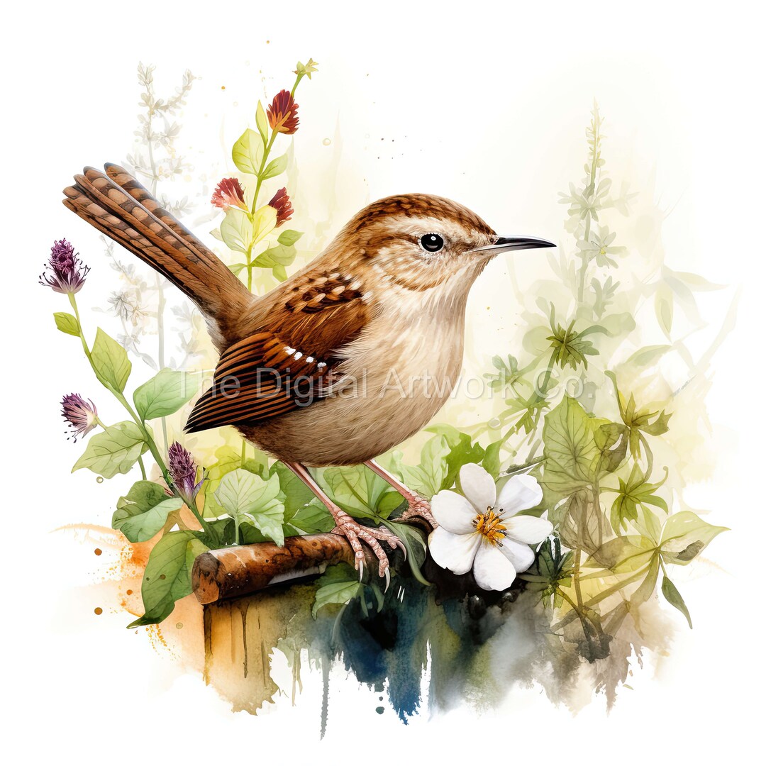 Watercolor Wren Art Prints: Garden Bird Illustration (digital Download ...