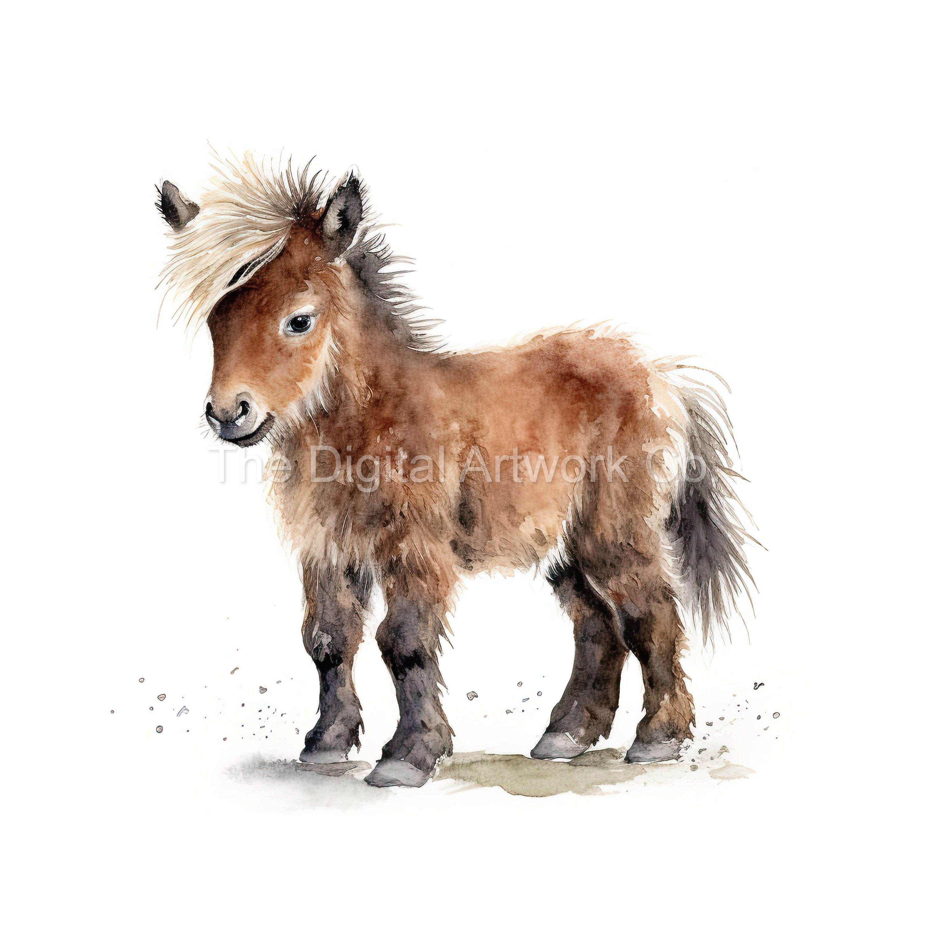 12 High Quality Designs of Shetland Ponies Clip Art 12 Jpgs - Etsy UK