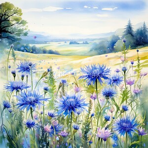 Cornflower Meadow Watercolor Backgrounds: Floral JPG Set (digital ...