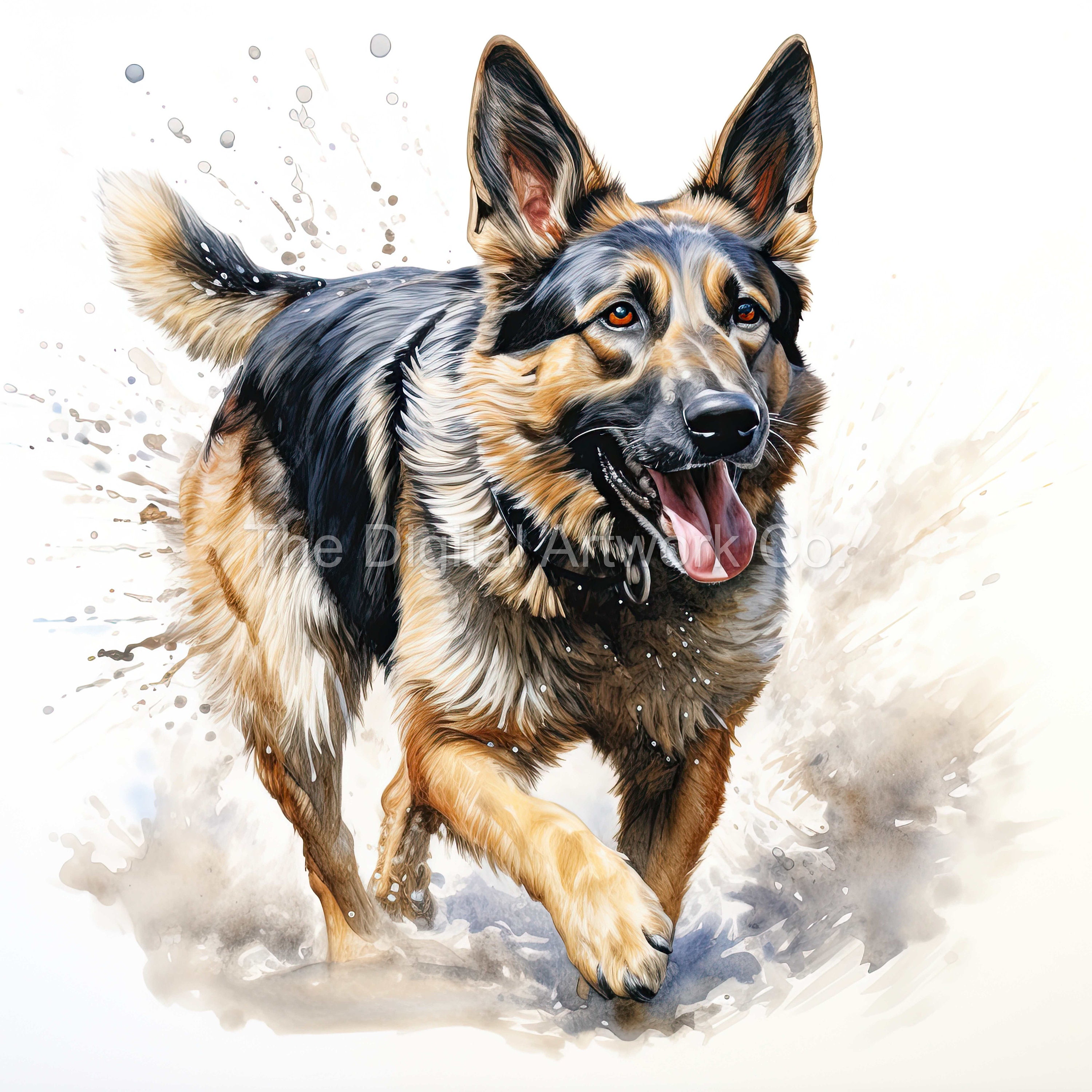 Alsatian Dog Watercolor Clipart, German Shepherd Designs (digital ...