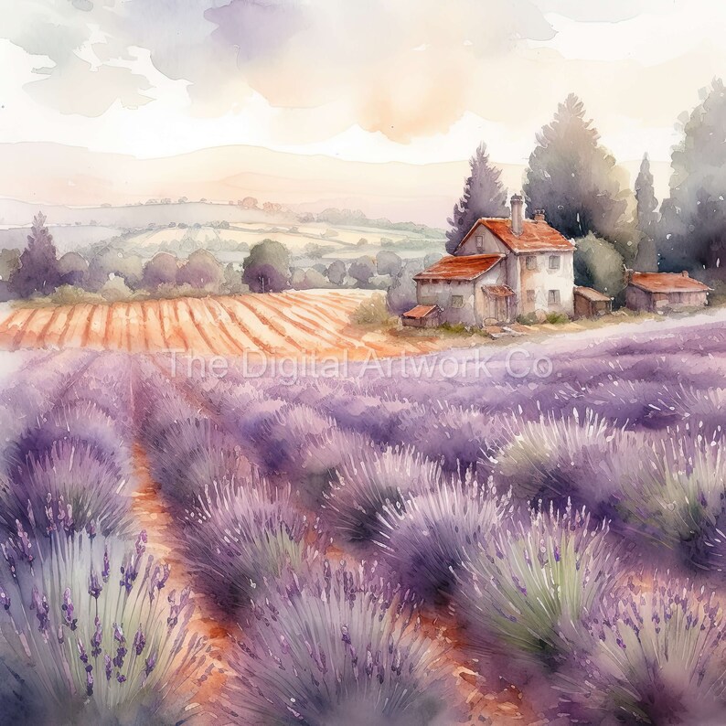 12 Lavender Meadows Backgrounds High Quality Jpgs Digital - Etsy UK