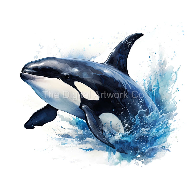 18 High Quality Designs of Watercolour Orcas Clip Art 12 Jpgs - Etsy