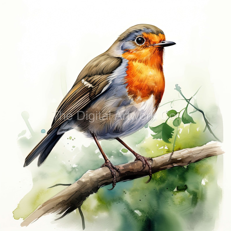 Watercolor Robin Art – Printable Bird Clipart, Commercial Use (digital ...