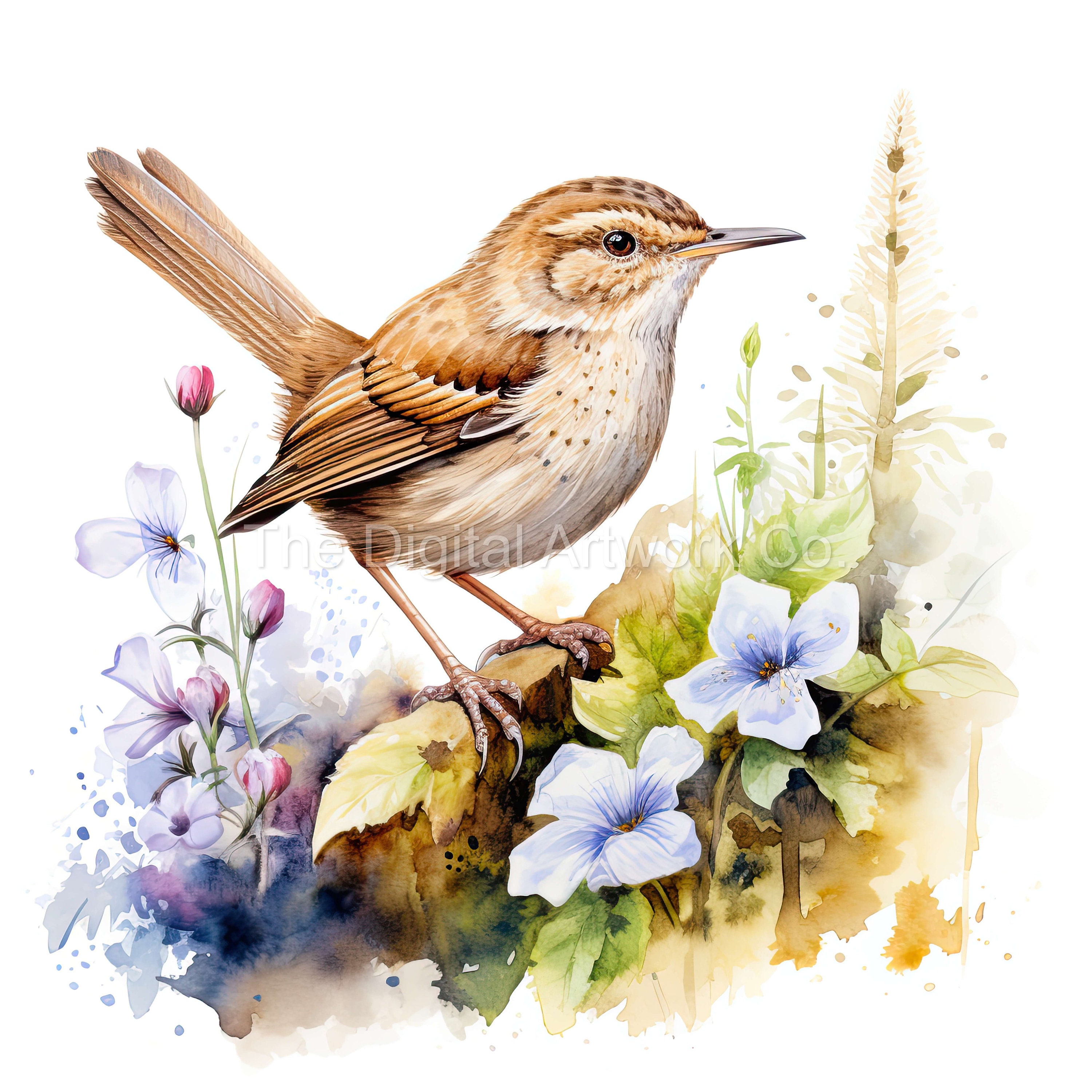 Watercolor Wren Art Prints: Garden Bird Illustration (digital Download ...