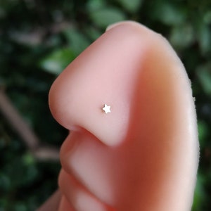 Nose Piercing Bundle + FREE Nose Piercing - Nose Piercing Jewelry ...