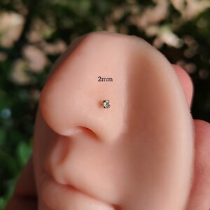 Nose Piercing Bundle + FREE Nose Piercing - Nose Piercing Jewelry ...