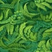 New Zealand Fern Patterns, Digital, Seamless Design to Celebrate the ...
