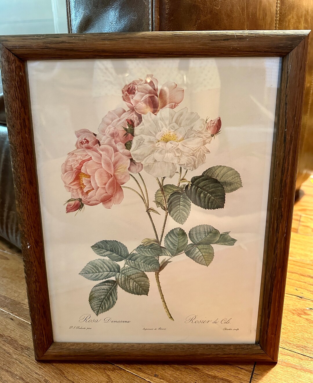 Vintage Framed Botanical Rose Picture - Etsy
