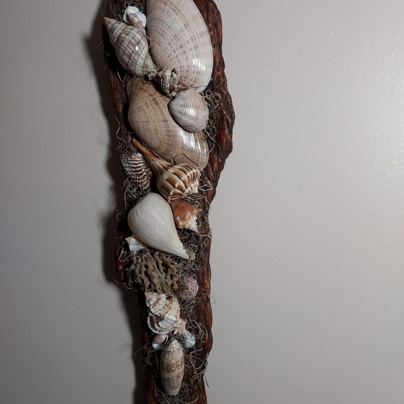 Seashell Hanging - Etsy
