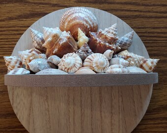 Seashell Board Wall Hanging - Etsy