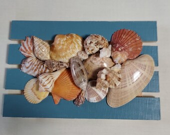 Seashell Board Wall Hanging - Etsy