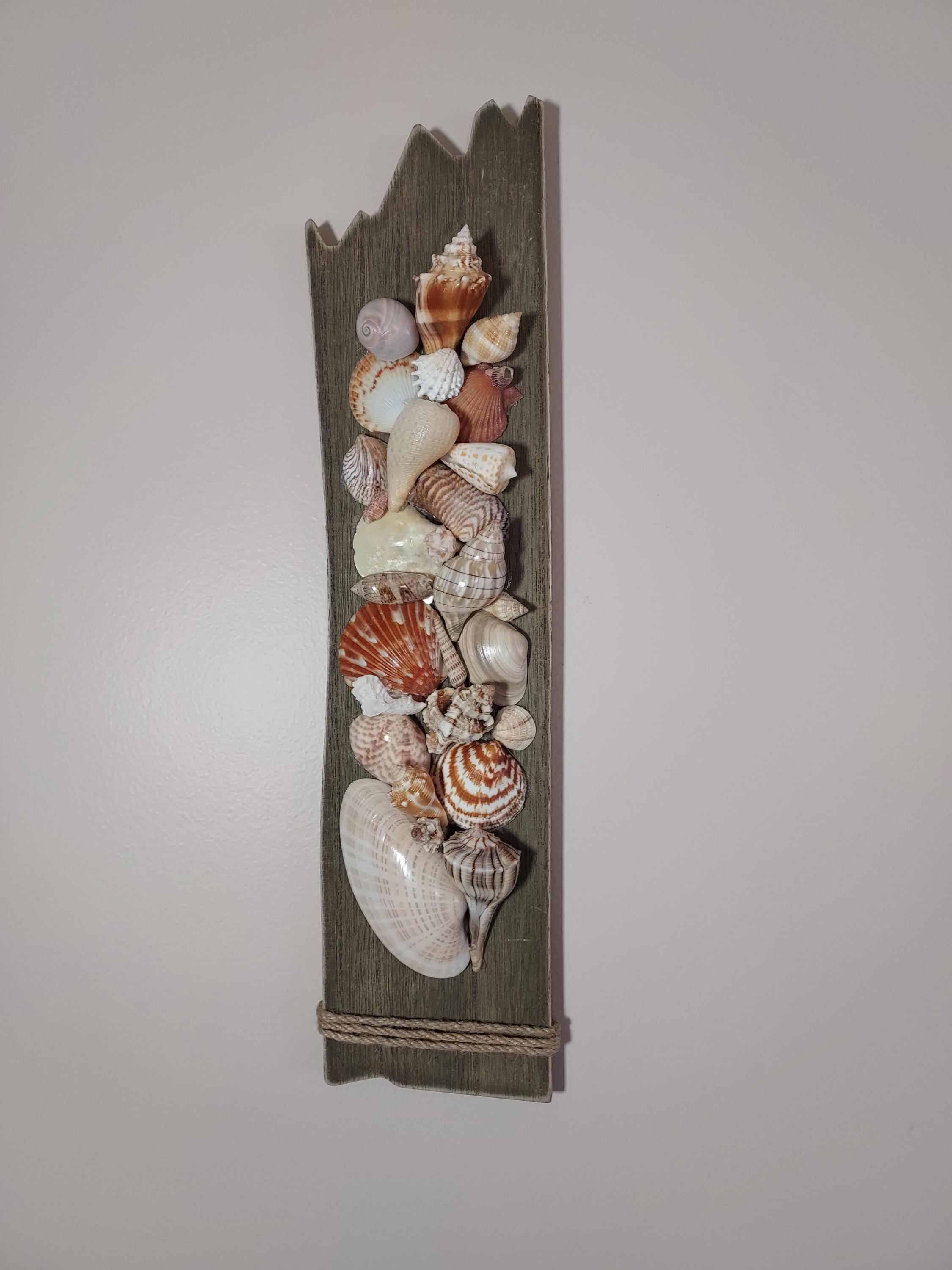 Seashell Board Wall Hanging - Etsy