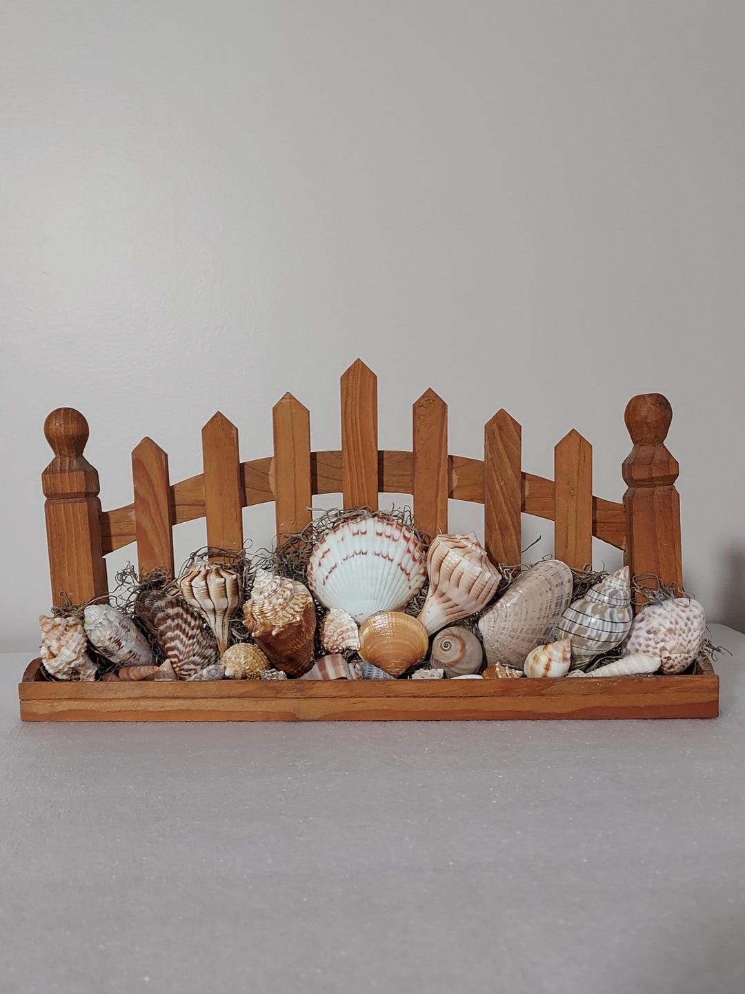 Seashell Display Shelf: 14-inch Wood Fence Decor - Etsy