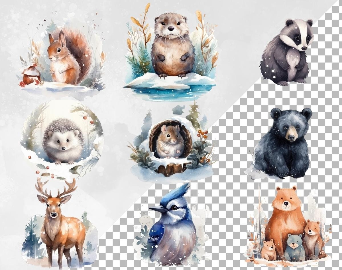 36 Winter Woodland Animals Clipart BUNDLE, Watercolor, Commercial Use ...