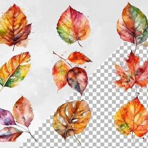 Autumn Leaves Watercolor Clipart Bundle - 36 PNG Cozy Fall Images ...