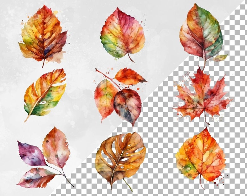 Autumn Leaves Watercolor Clipart Bundle - 36 PNG Cozy Fall Images ...