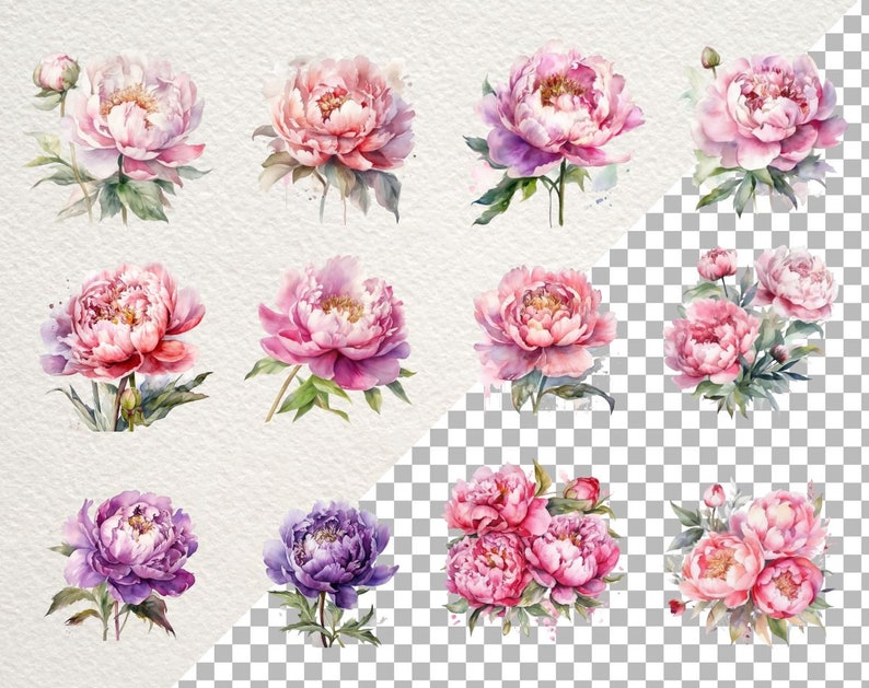 38 Watercolor Pink Peony Clipart - PNG and SVG, Instant Download ...