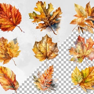 Autumn Leaves Watercolor Clipart Bundle - 36 PNG Cozy Fall Images ...