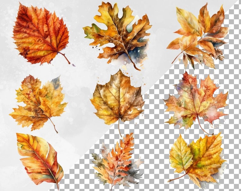 Autumn Leaves Watercolor Clipart Bundle - 36 PNG Cozy Fall Images ...