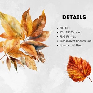 Autumn Leaves Watercolor Clipart Bundle - 36 PNG Cozy Fall Images ...