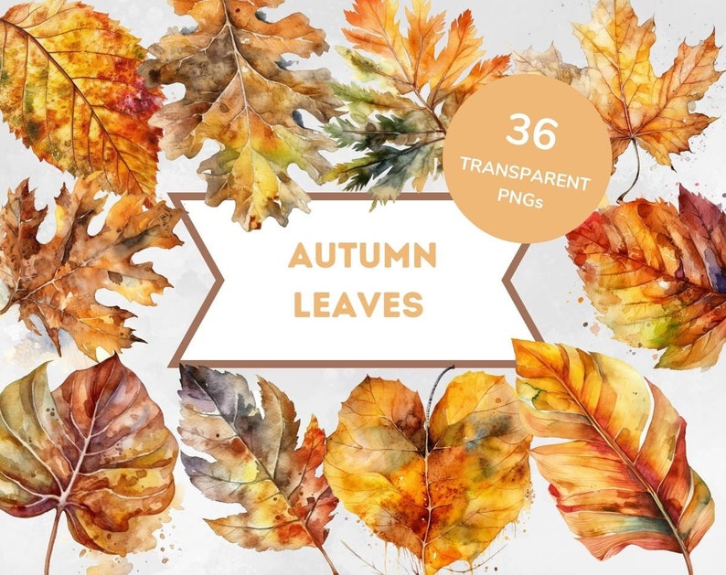 Autumn Leaves Watercolor Clipart Bundle - 36 PNG Cozy Fall Images ...