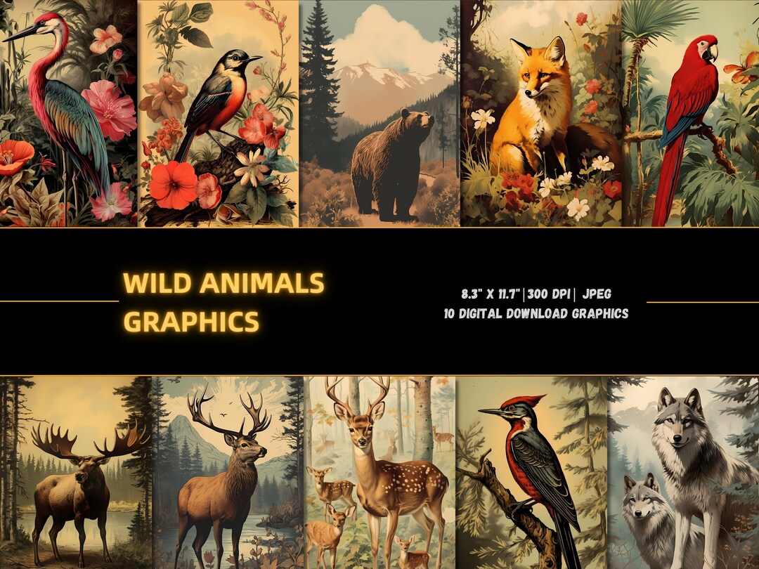 Vintage Wildlife Posters, Animals Postcards, Retro Home Decorations ...