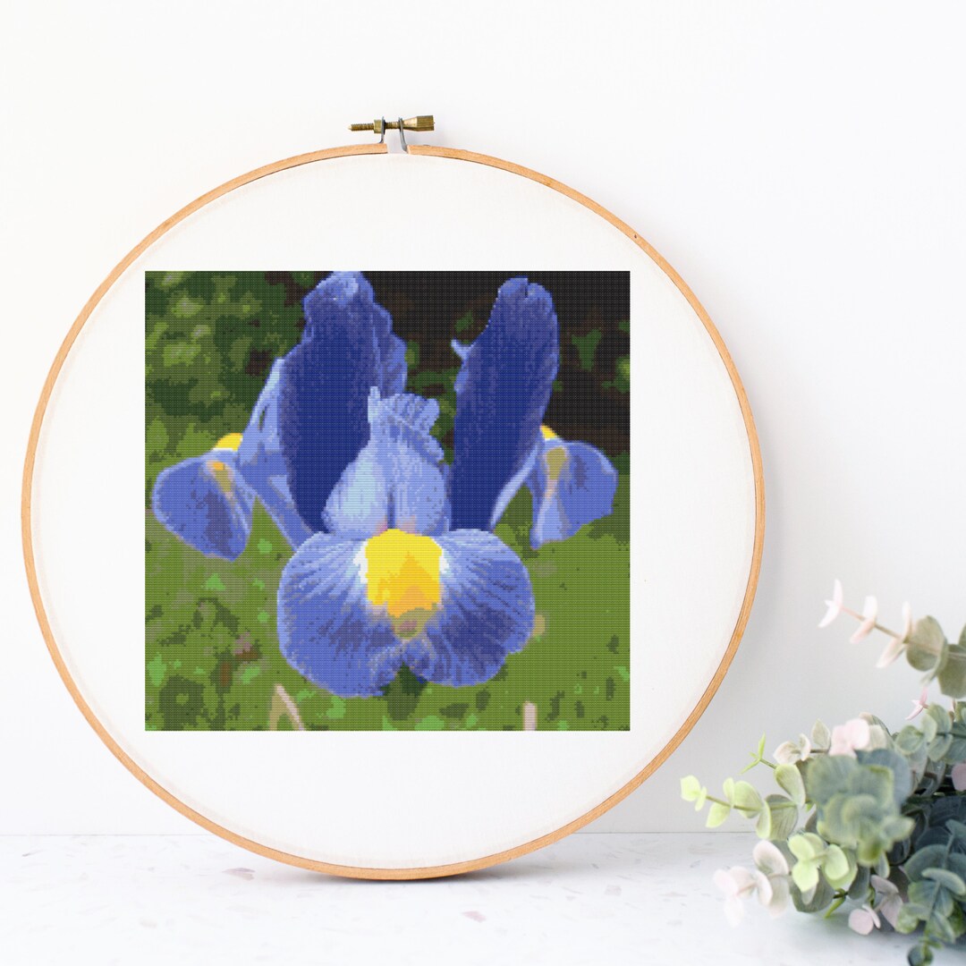 Iris Flower Cross Stitch Design - Etsy