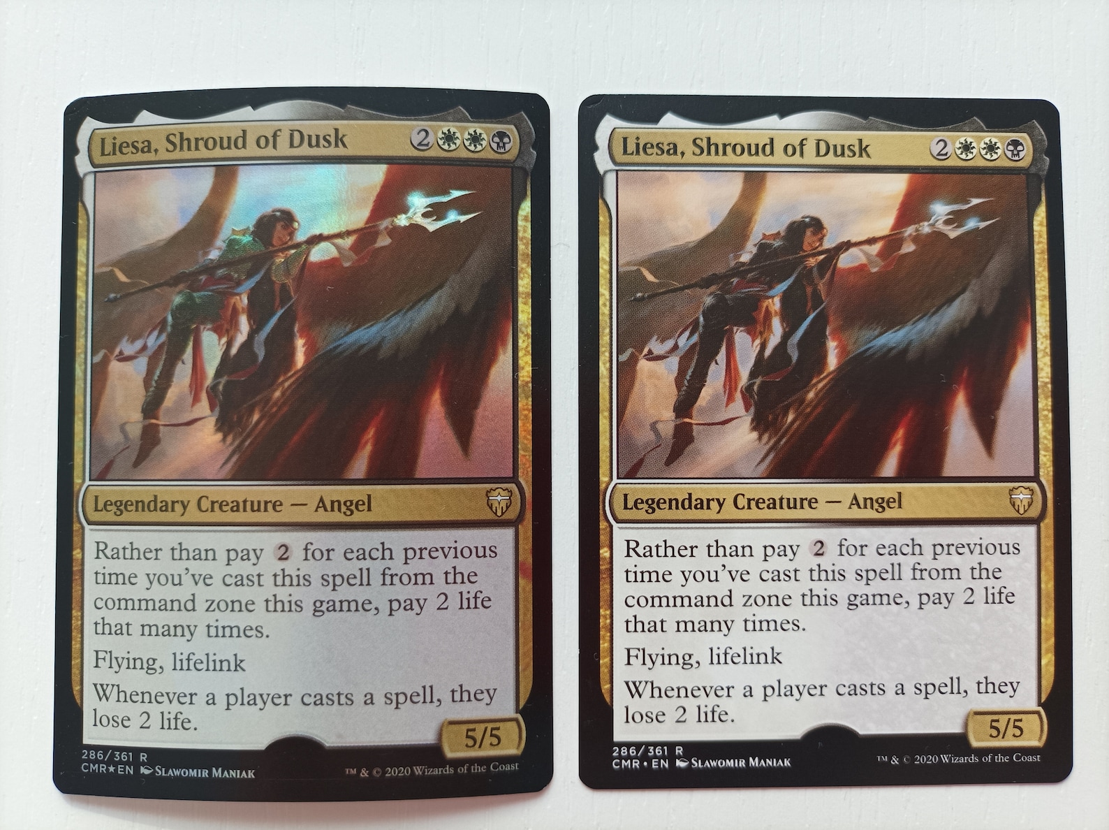 Liesa, Shroud of Dusk – Slawomir Maniak - Magic: the Gathering Artproof ...