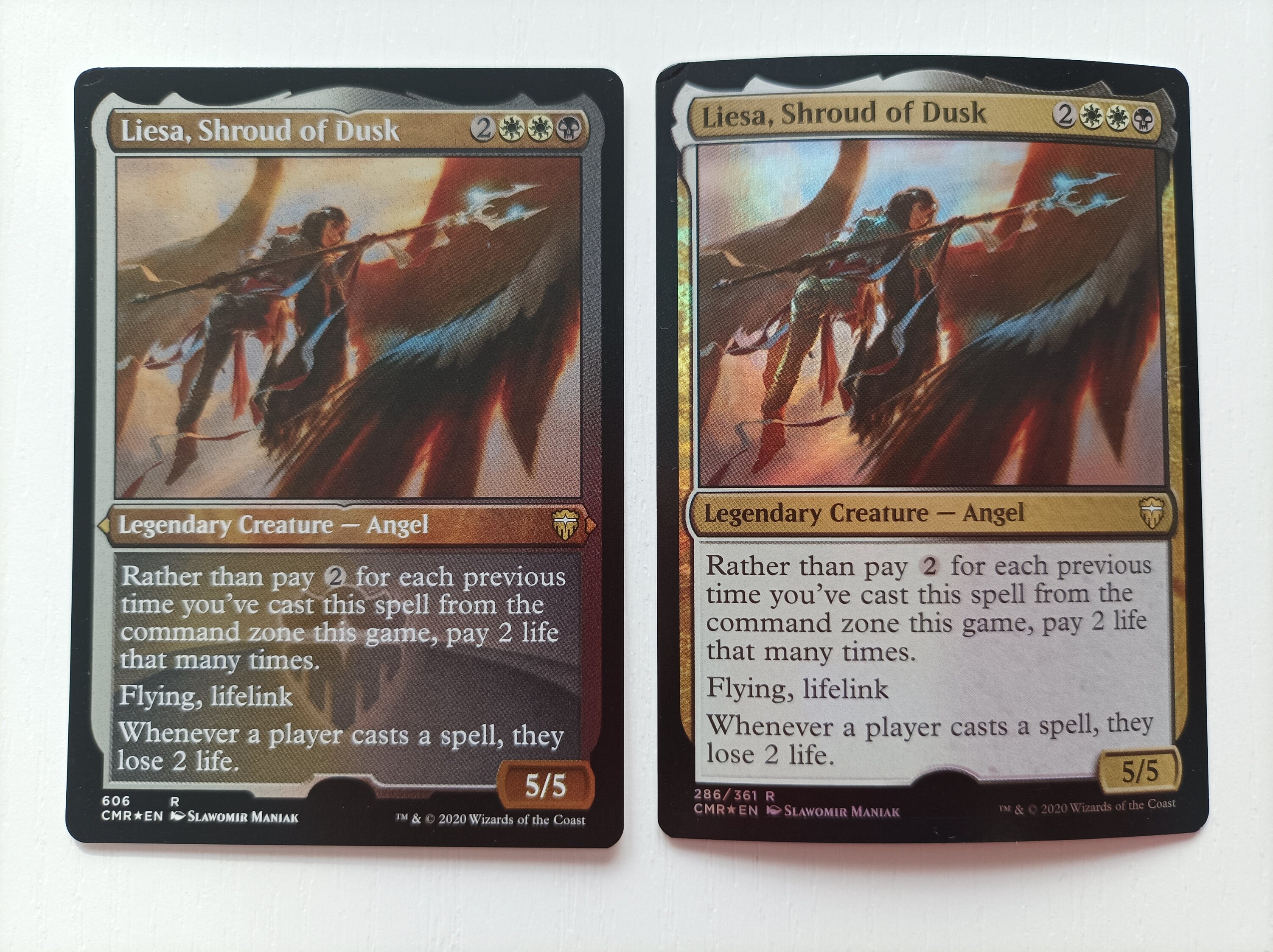 Liesa, Shroud of Dusk – Slawomir Maniak - Magic: the Gathering Artproof ...