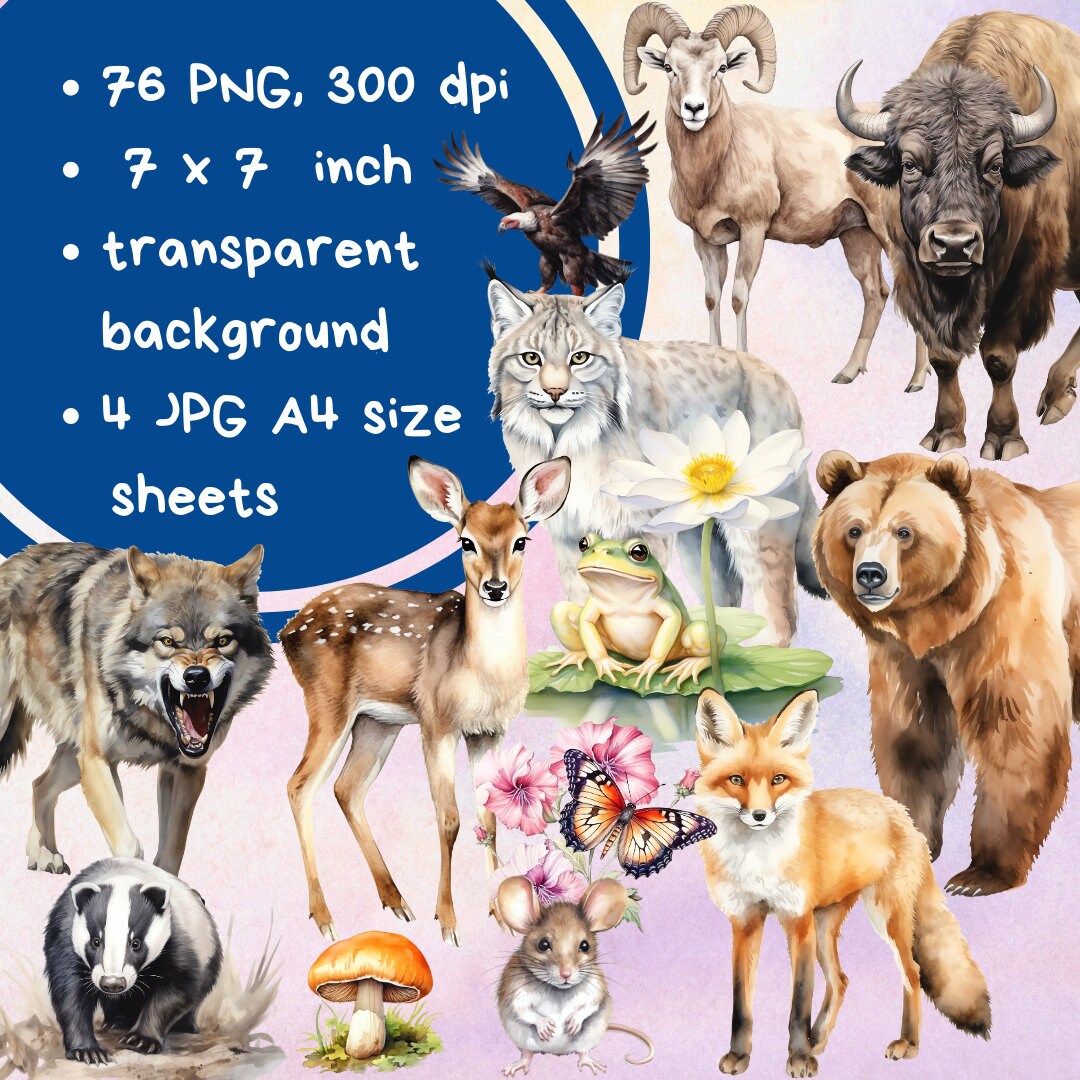 Woodland Animals PNG Bundle Stickers, Forest Animal Sticker Downloads ...