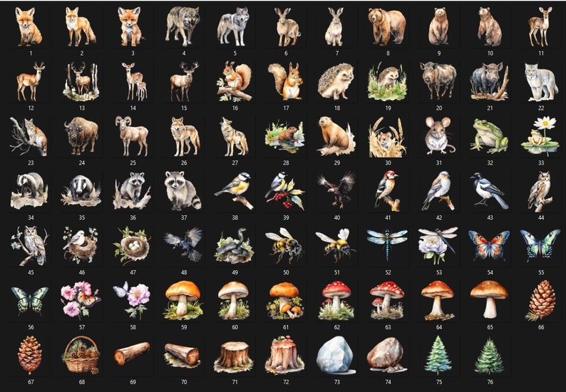 76 PNG Woodland Animals Clipart Bundle Forest Animal PNG - Etsy