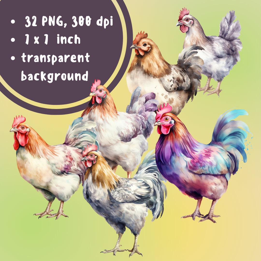 32 PNG Watercolor Chickens Clipart, Farm Animal PNG Format Instant ...