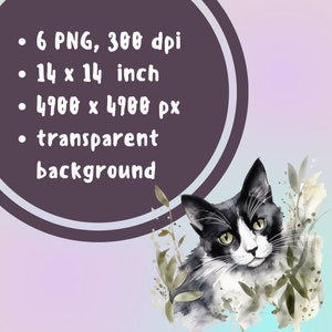 Cute Black and White Cat Clipart, Cat PNG, Watercolor Cat Clip Art ...