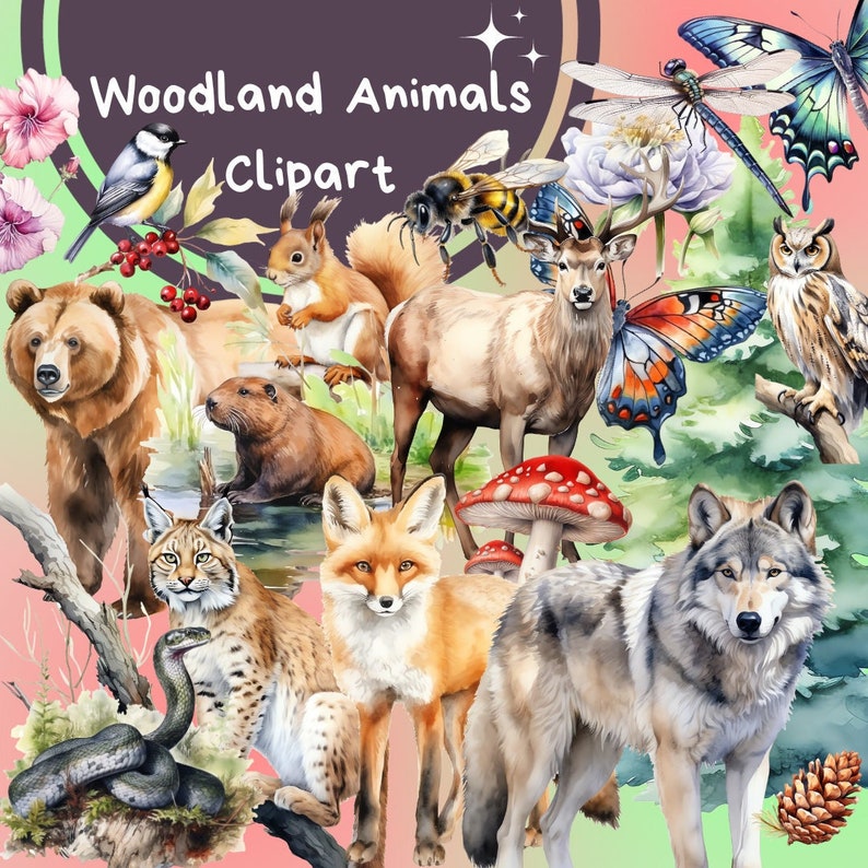 76 PNG Woodland Animals Clipart Bundle Forest Animal PNG - Etsy