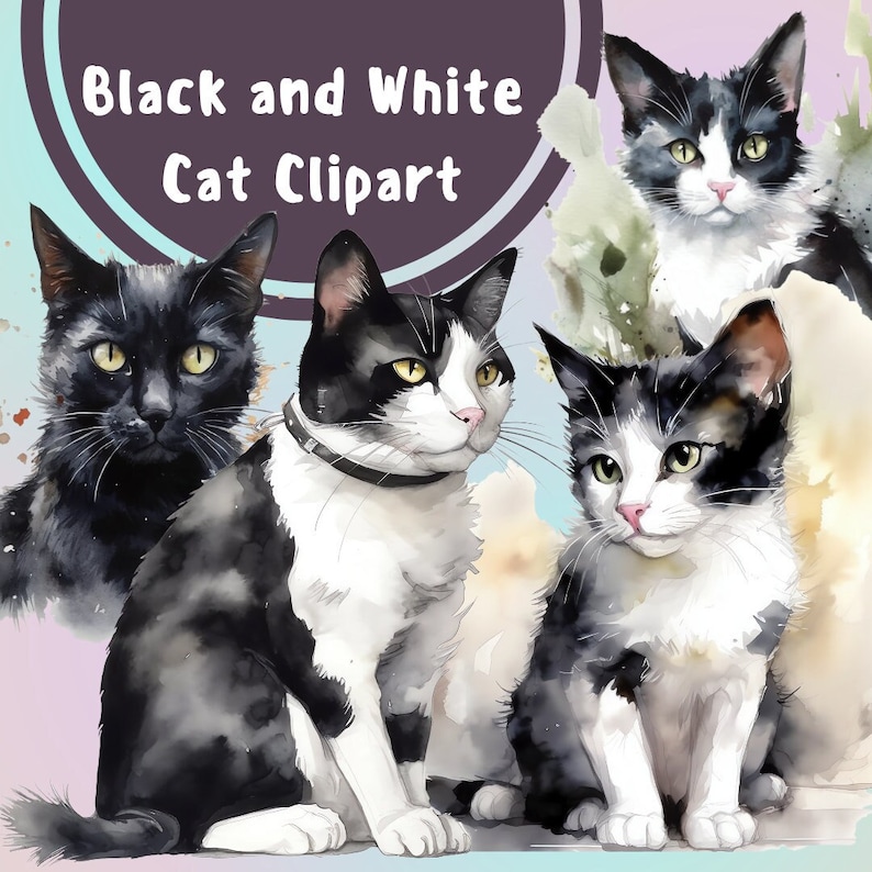 Cute Black and White Cat Clipart, Cat PNG, Watercolor Cat Clip Art ...