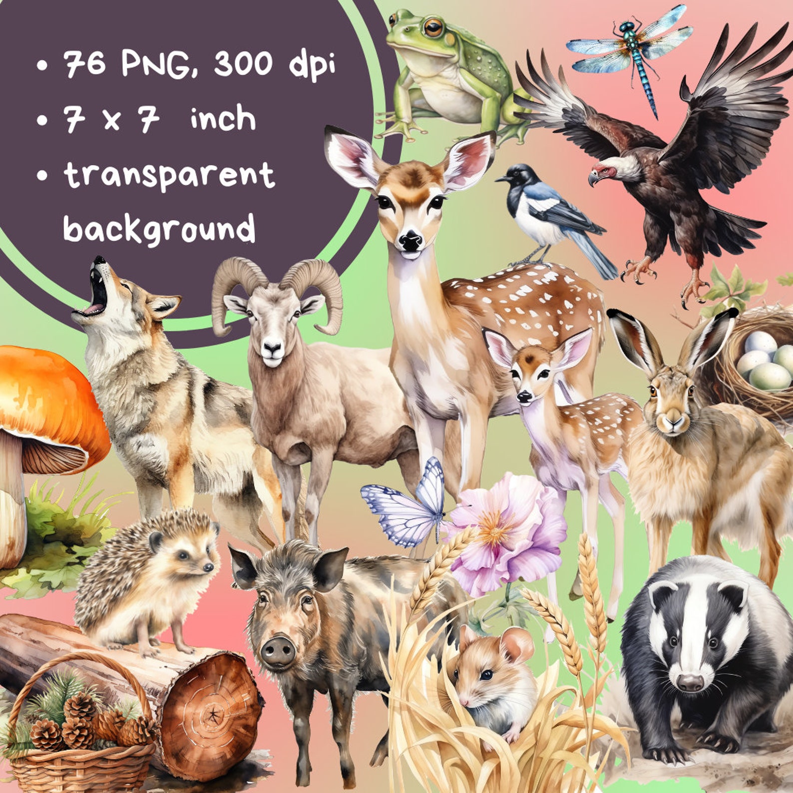 76 PNG Woodland Animals Clipart Bundle Forest Animal PNG - Etsy