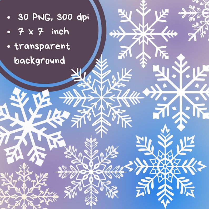Snowflakes Clipart, Winter PNG Graphics, Christmas Ornaments (digital ...