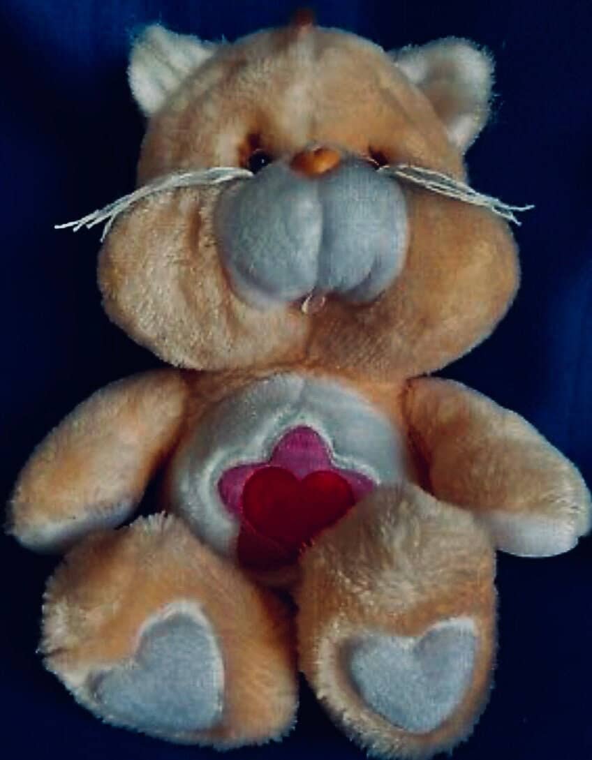 Care Bears Proud Heart Cat