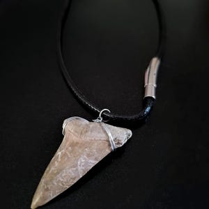 Fossil Tooth of Great White Shark Necklace - Etsy