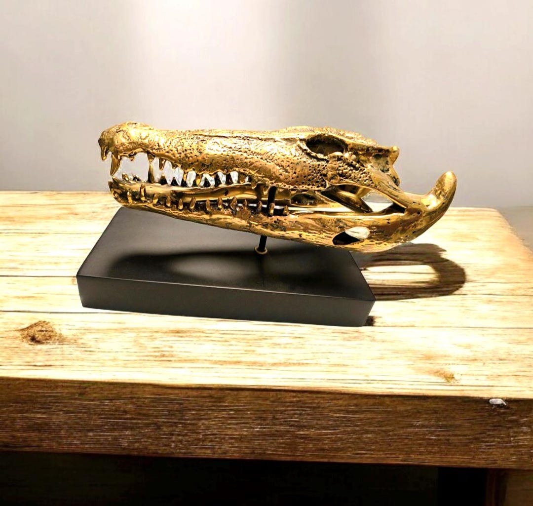 Crocodile Skull Bronze Sculpture 24cm Golden Polished Alligator Gift ...