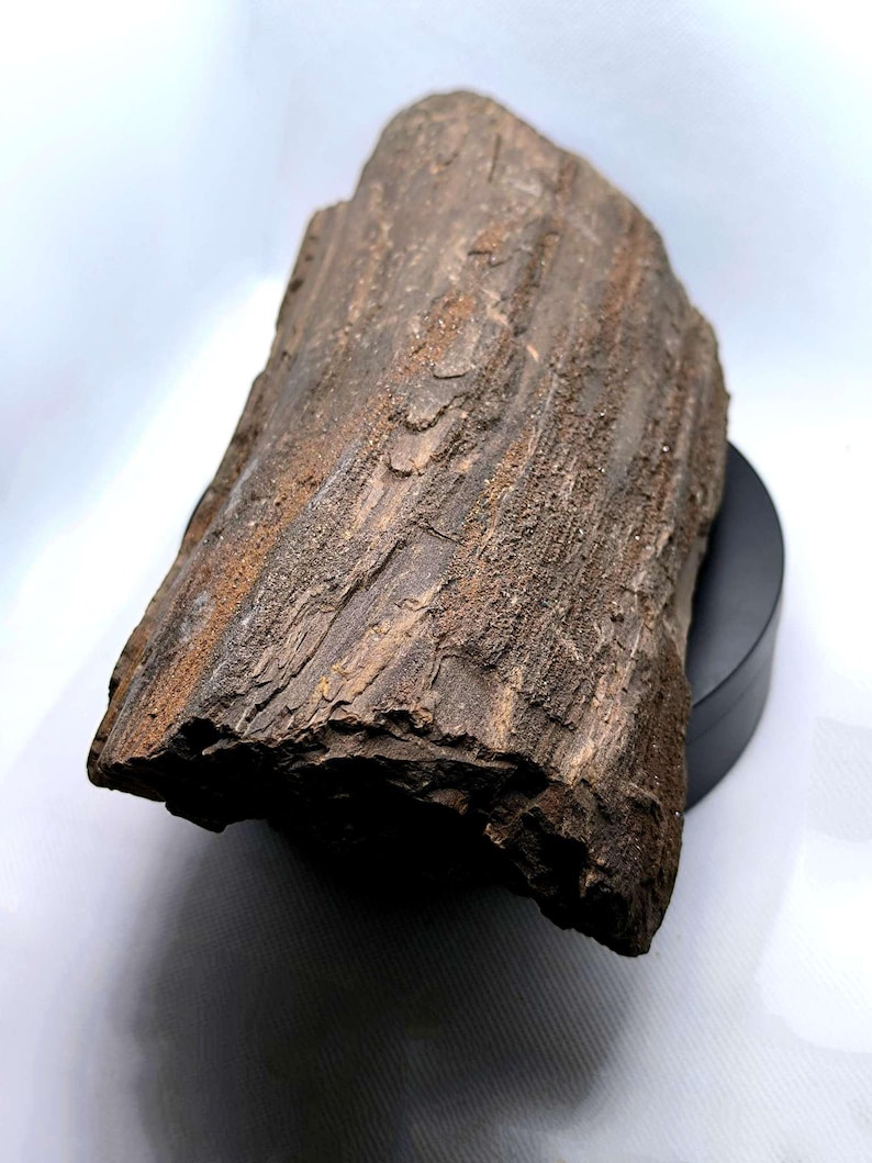 1.7 Kg Giant Sequoia With Quartz Crystals. Petrified Wood Fairywood ...